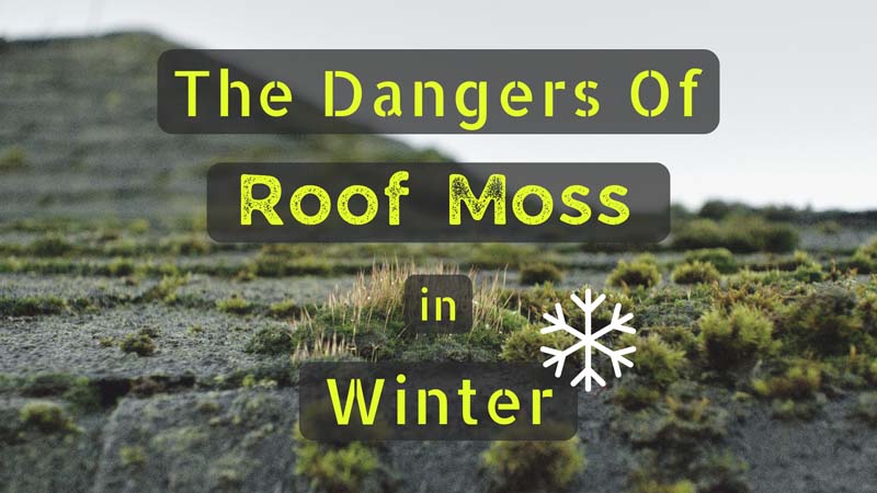 The Dangers Of Roof Moss in Winter - Snugs Services