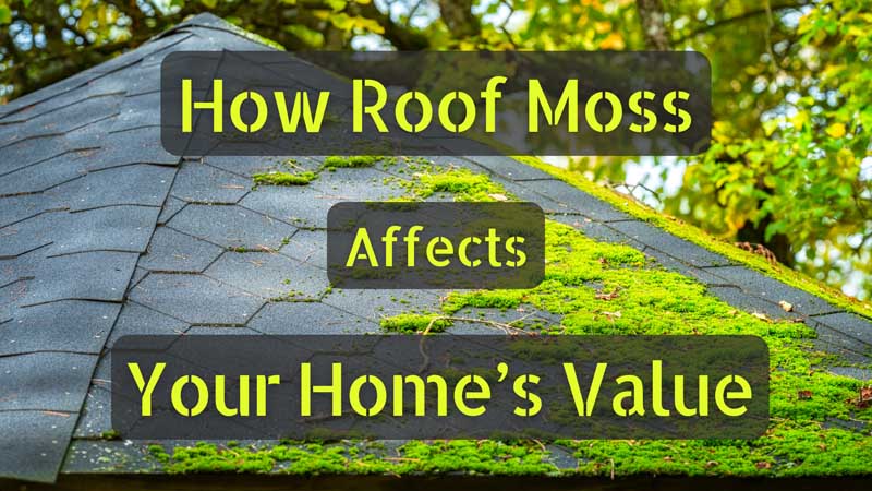 How Roof Moss Affects Your Home’s Value - Snugs Services