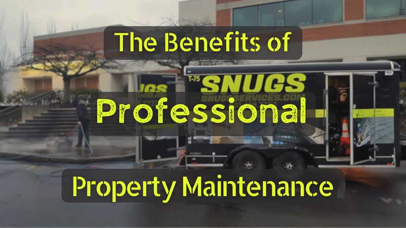 The Cost-Effective Solution: The Benefits of Professional Property ...